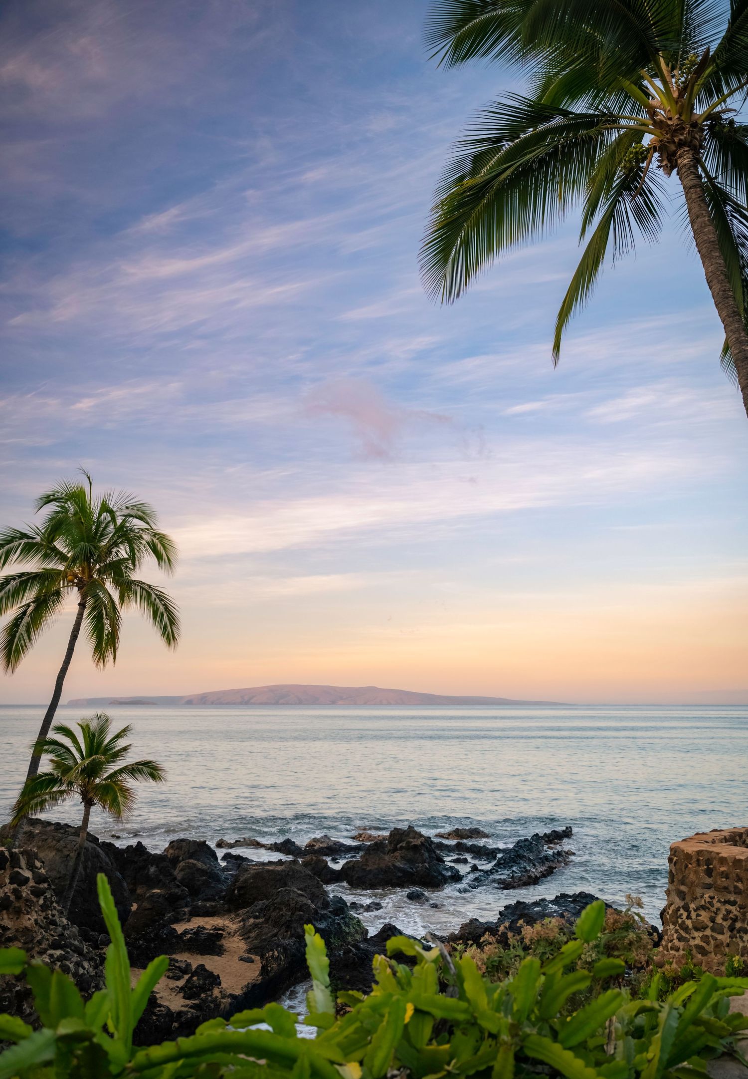 Home - Trillium Photography Group