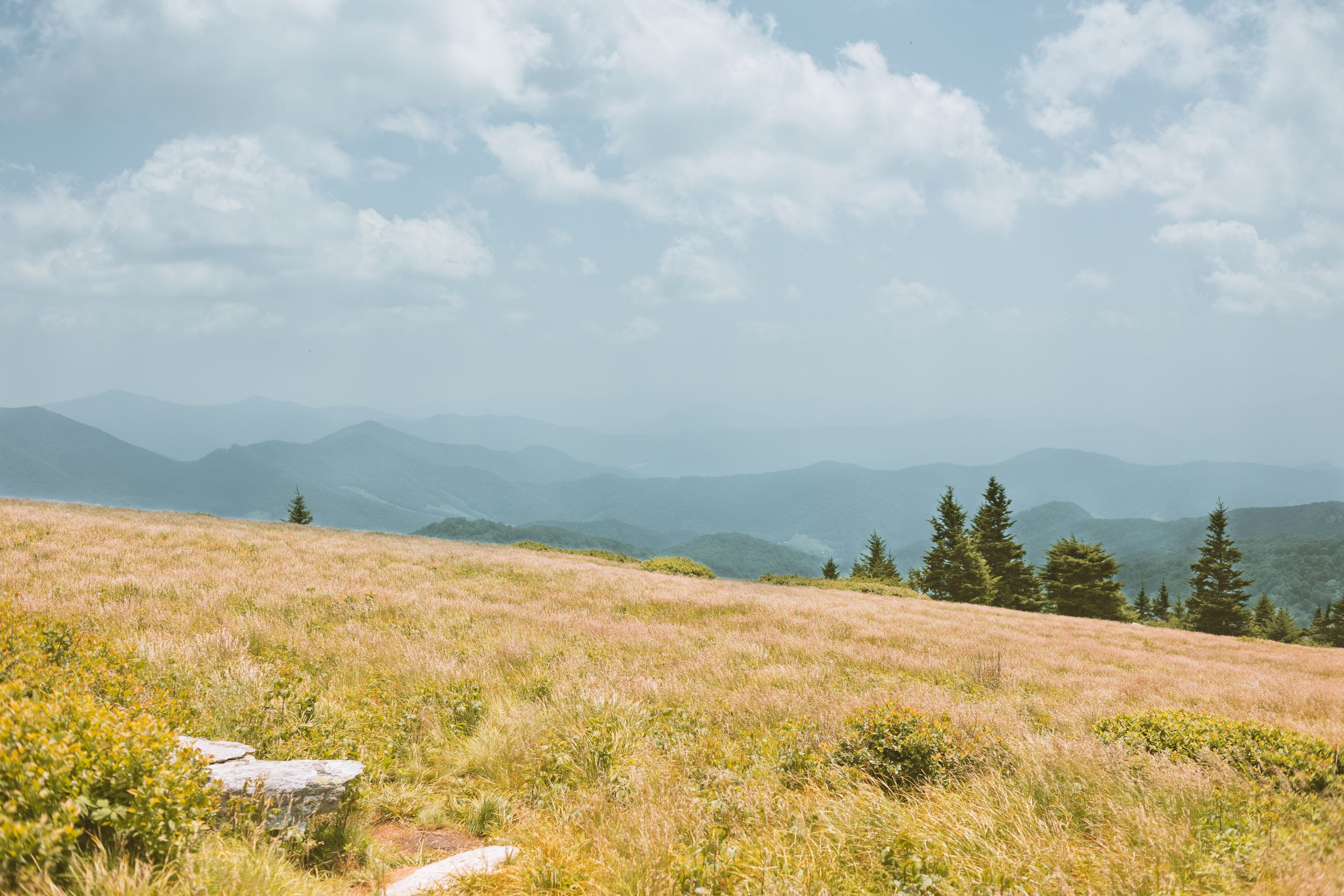 Kentucky and Tennessee Adventure Elopement Photographer - Kentucky and ...
