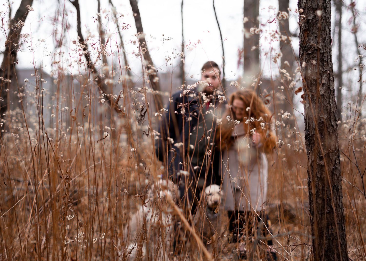 Fall Mini Guide 2021 - Lily Parry Photographer