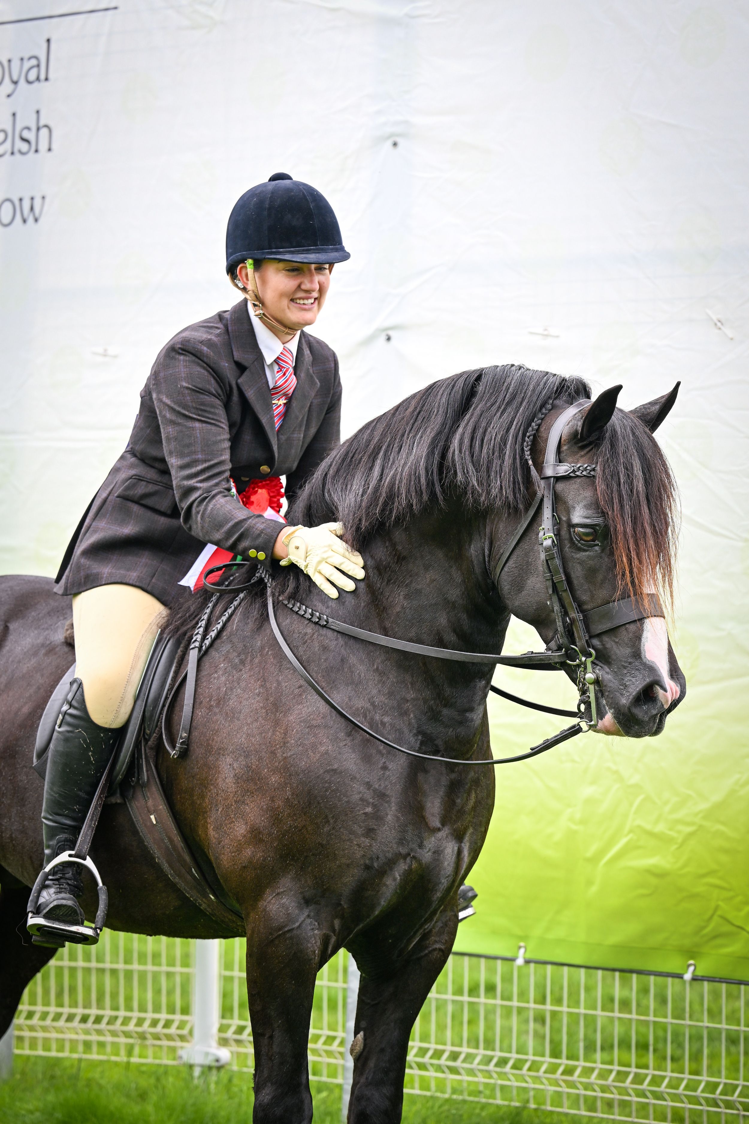 Royal Welsh Show - EquinePix: Welsh Pony & Cob Photography