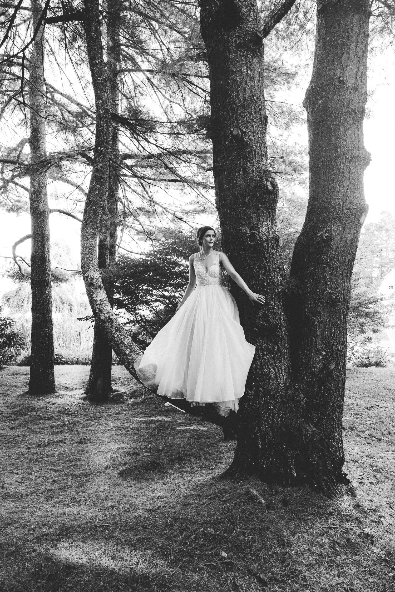 Weddings - Mark McCall Photography