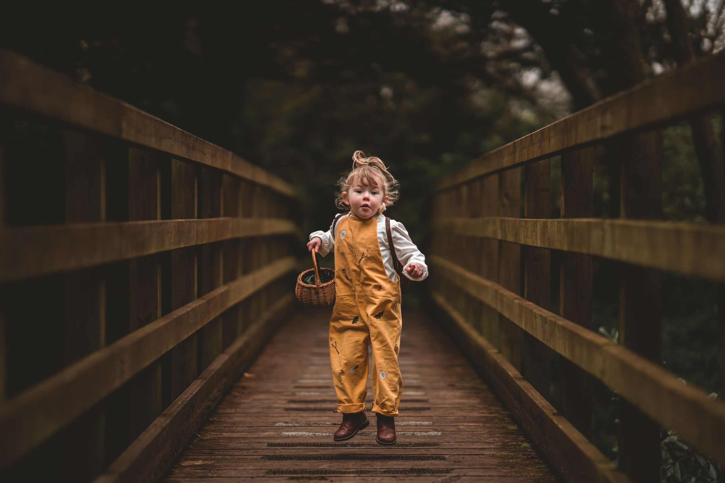 Introducing: Photography Tips Blog Series - The Grizzly Forager: The ...