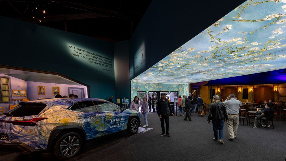 Van Gogh Alive in Perth - CJ Photo