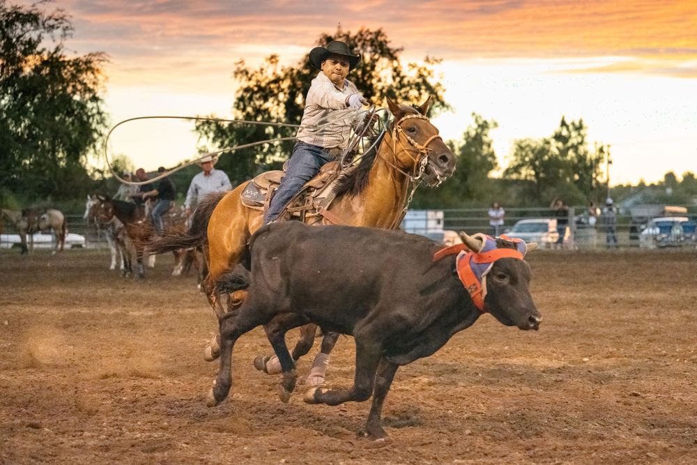 Rodeo - BodiesInMotion