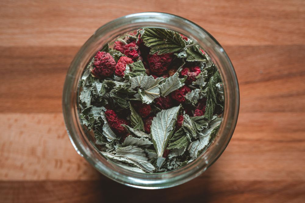 Recipes: Raspberry Leaf Tea - The Grizzly Forager: The Definitive Guide ...