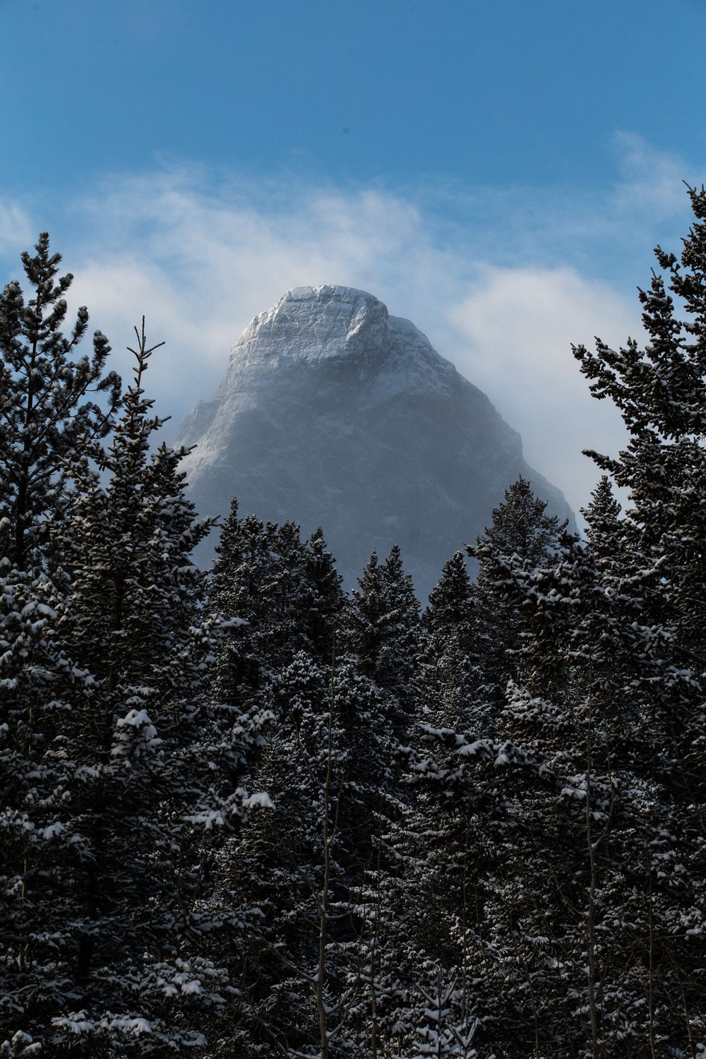 North America - Danielle Gillard Photography