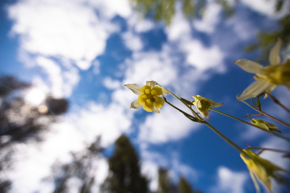 North America - Danielle Gillard Photography