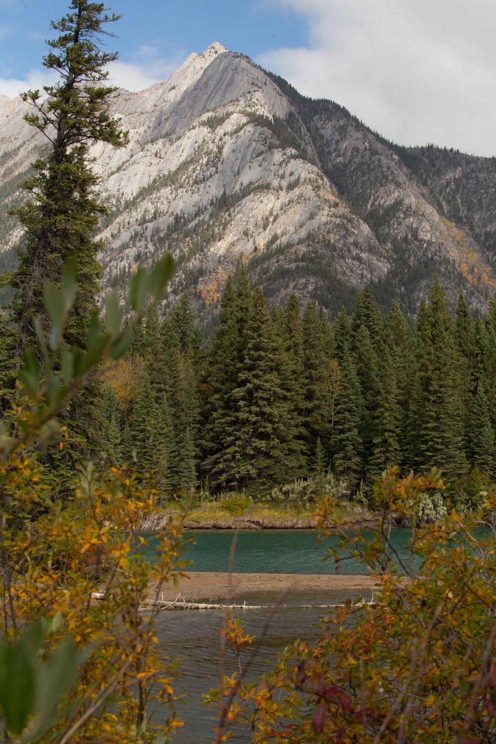 North America - Danielle Gillard Photography