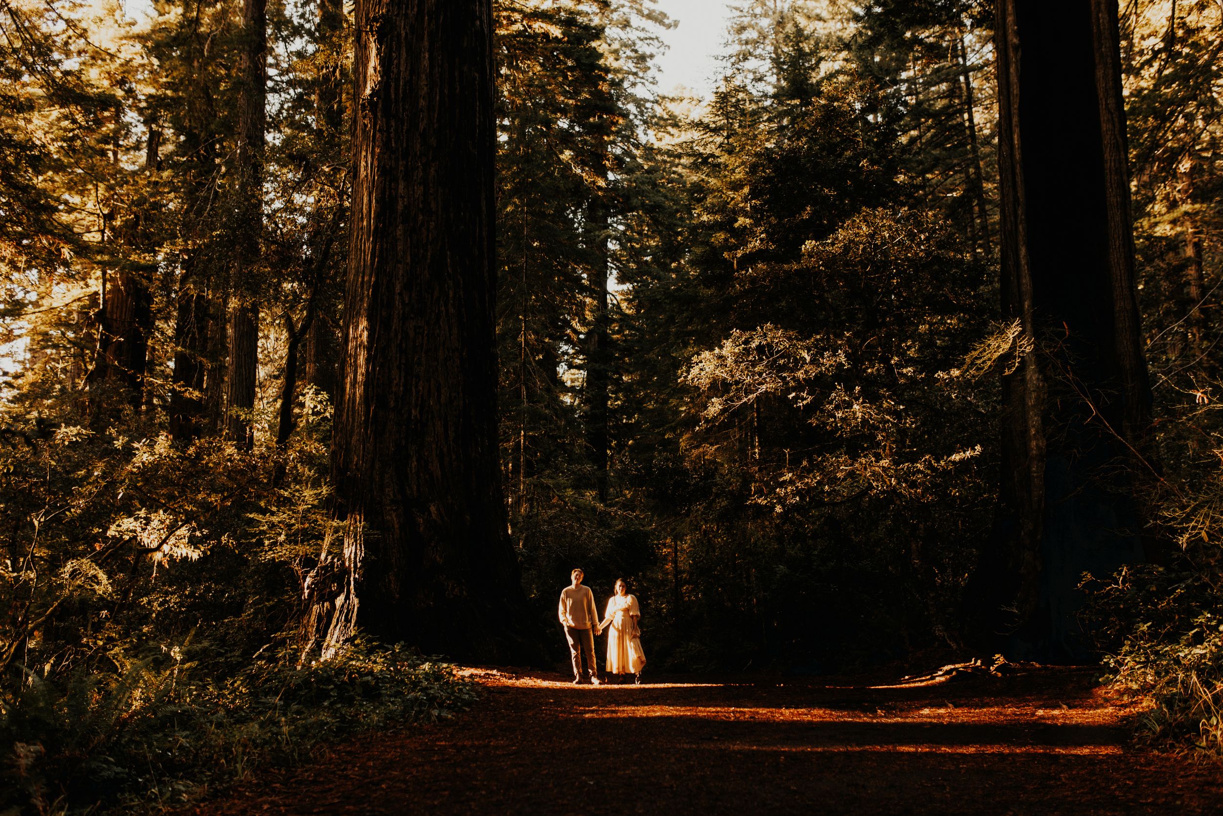 About - MountainPeakStudios