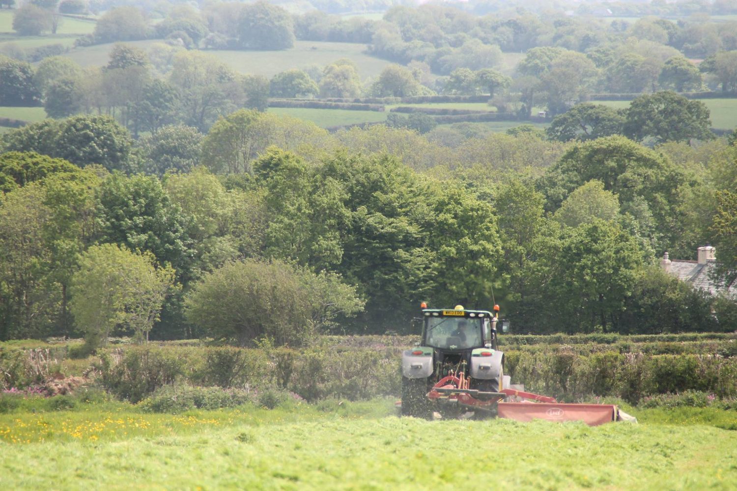 Weddings - Debbie Walters