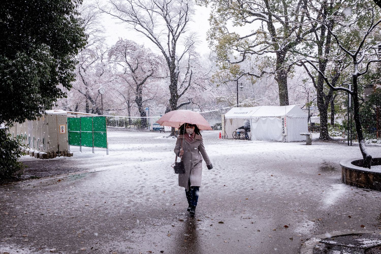 2020 Tokyo Lockdown - VIOLA KAM｜Photographer