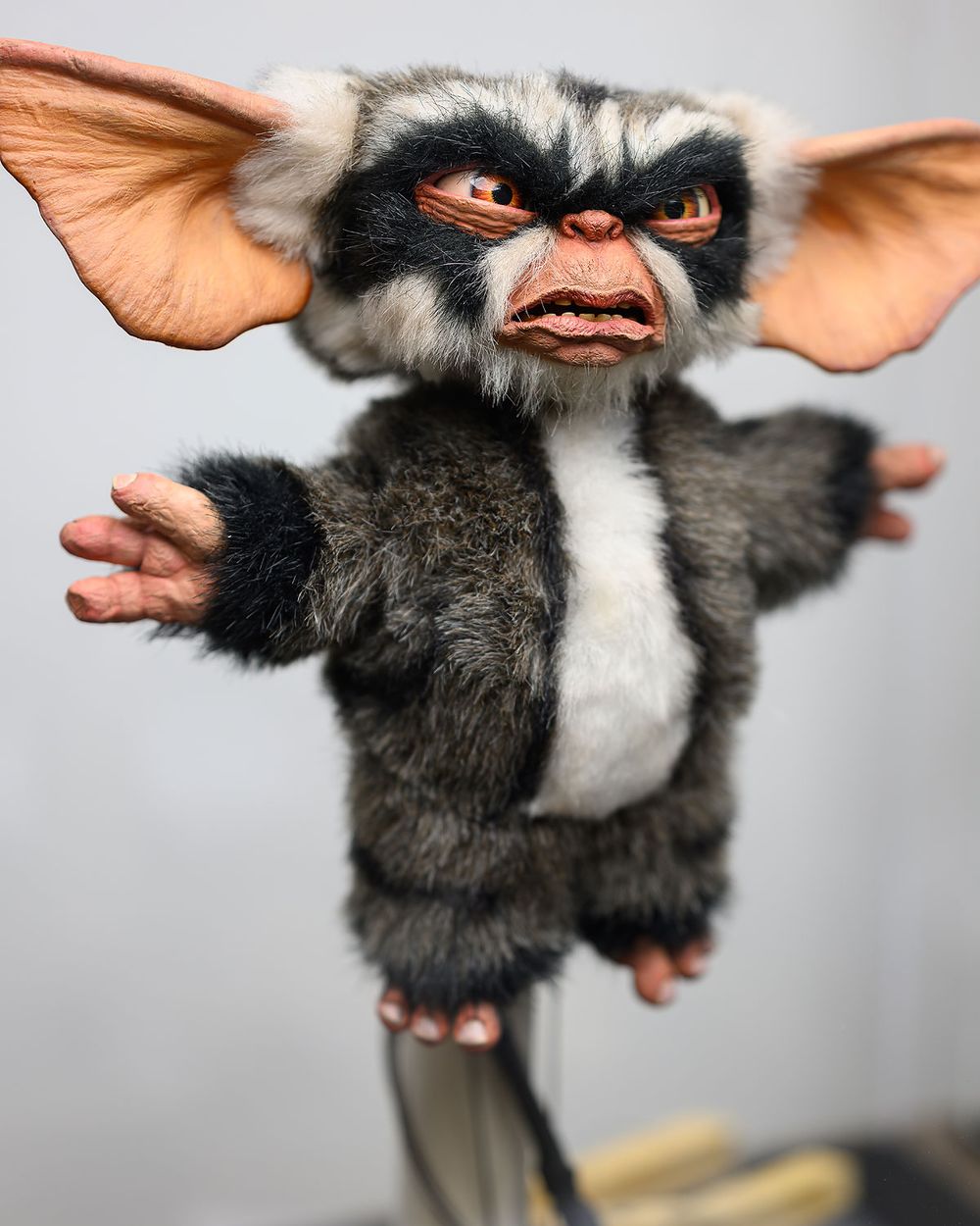 George Mogwai Movie Prop - The Gremlins Museum