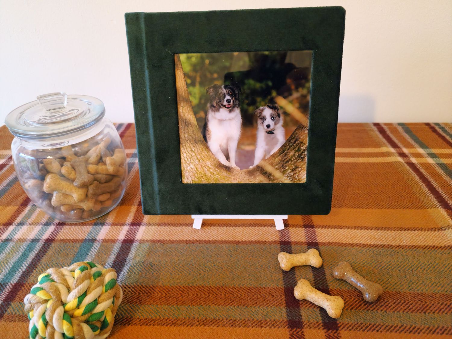 Andy Pull Photography