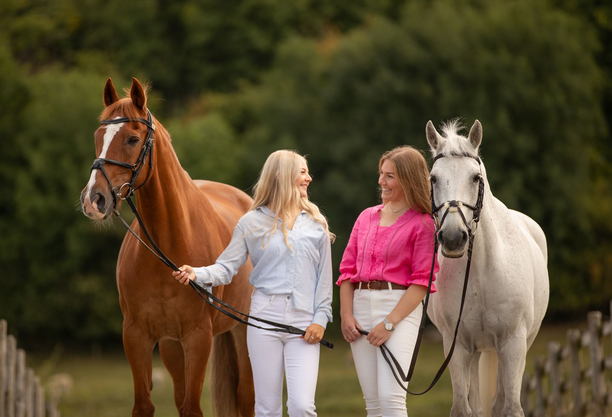 Lauren & Gambit, Amelia & Dougal - Imogen Moon ABIPP - Equine & Dog ...