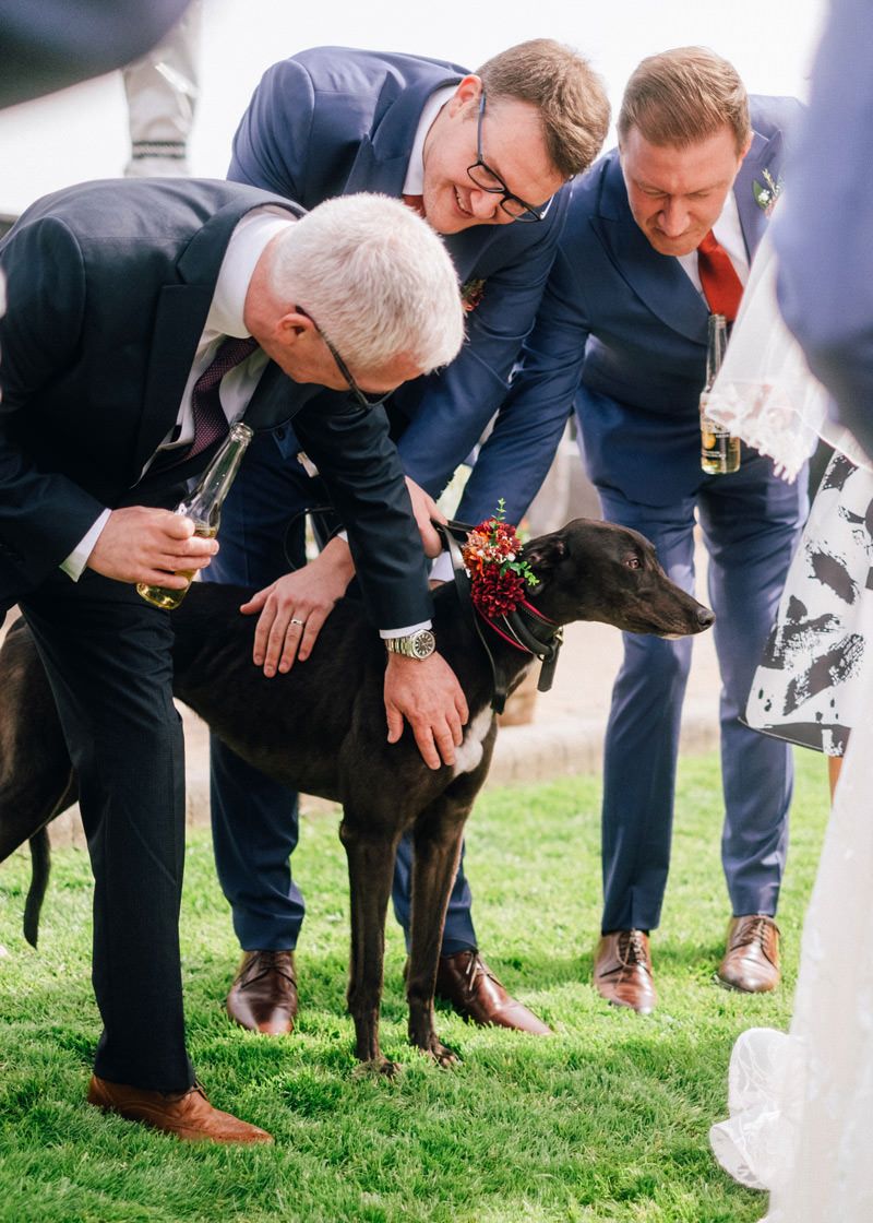 How to include your dog in your wedding - Derek Anson Photography