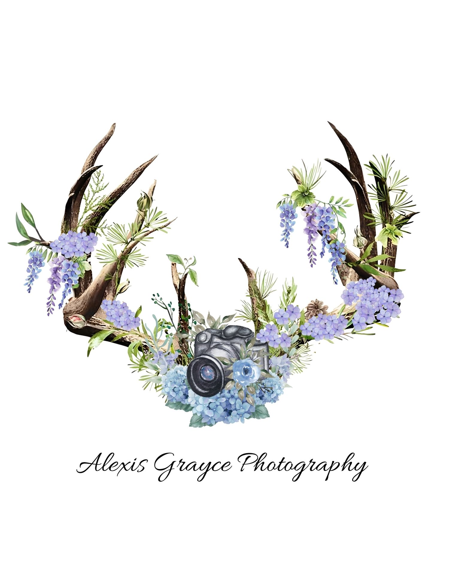 Alexis Butler Photography