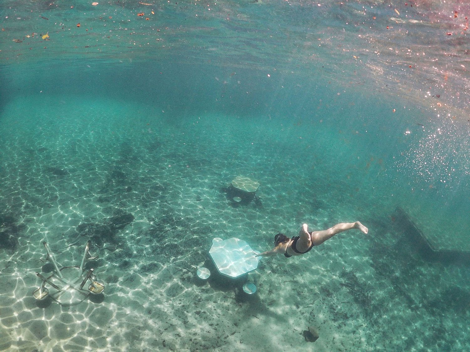 Let's Explore Morrison Springs & Ponce de Leon Springs State Park ...