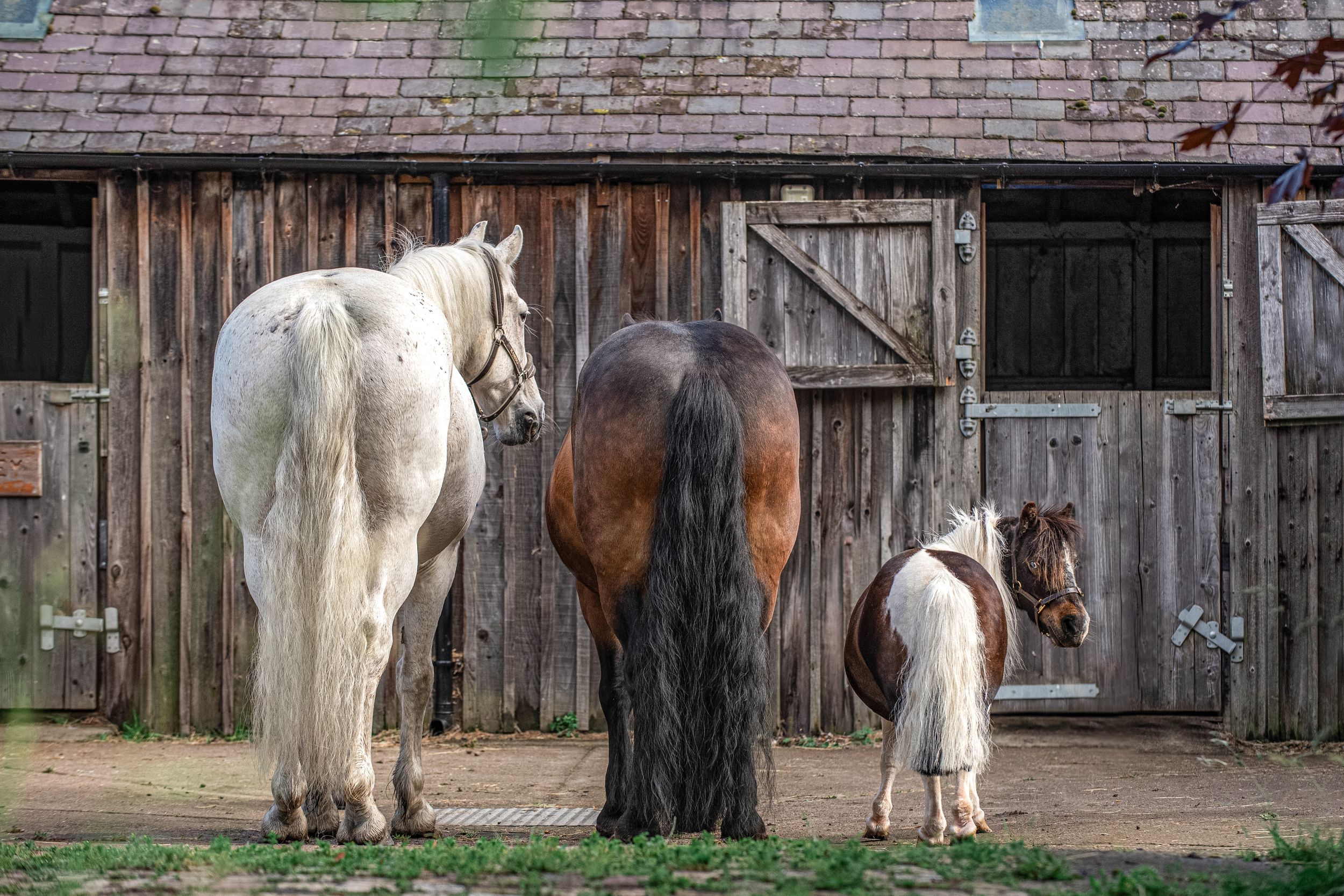 Photographing Westgate Labs HQ - Holly Outtridge Photography