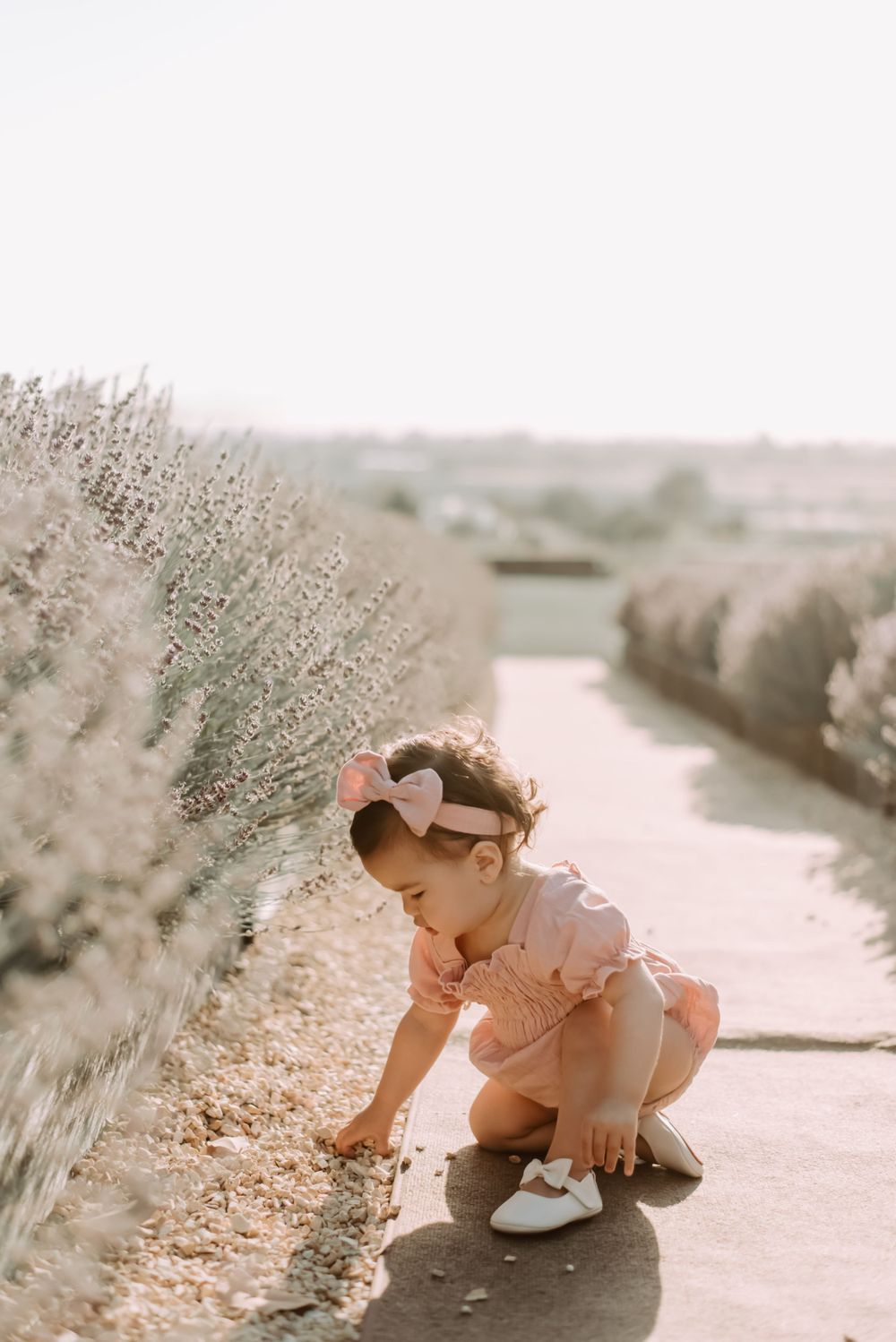 Rosenstein - Pesey Palmer Photography