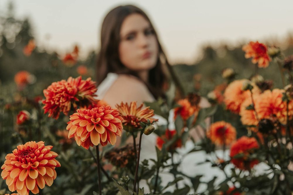 Haleigh's Senior Portraits in a Dahlia Flower Field | Spokane Senior ...