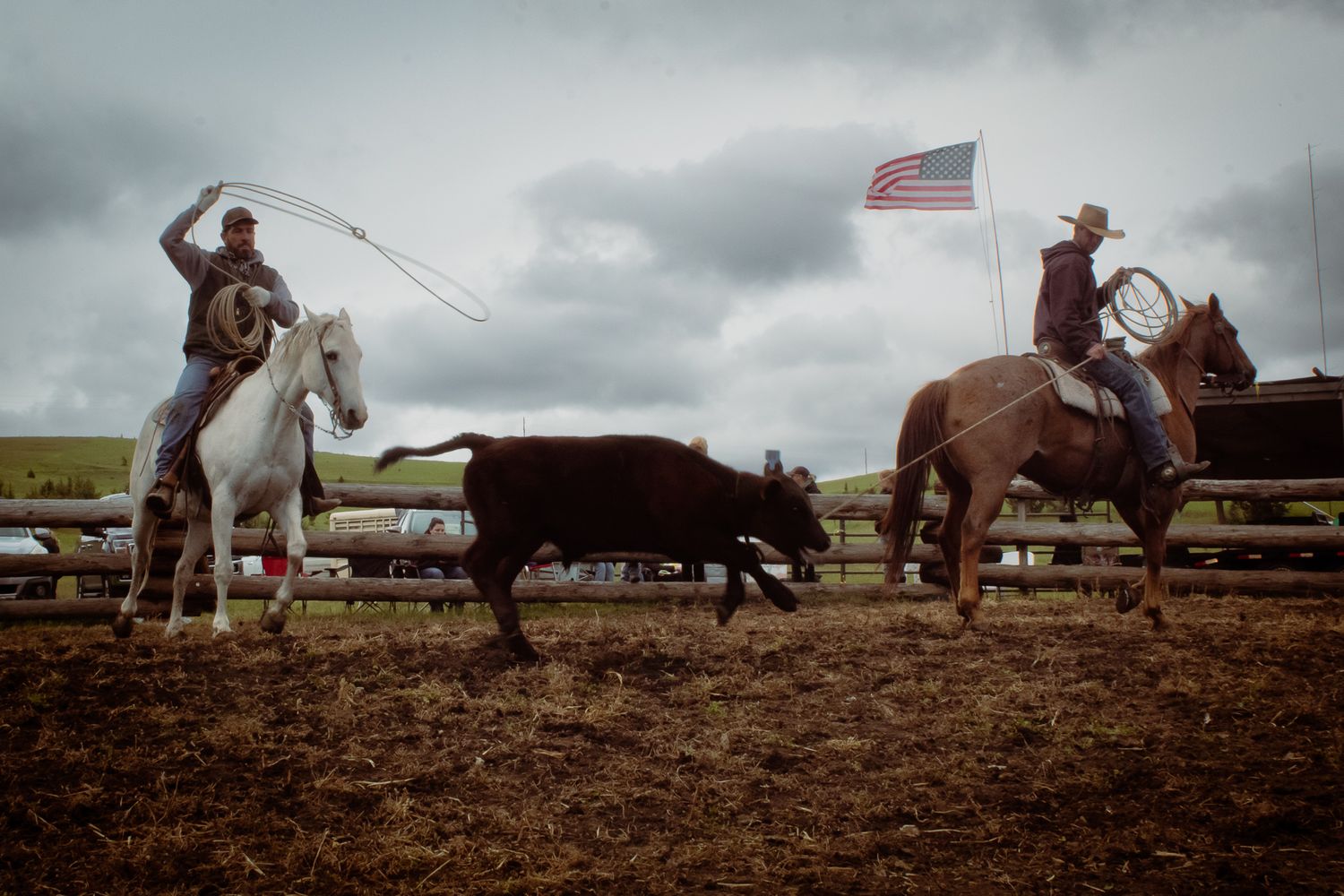 Ranch Brands - Cowhand Captures