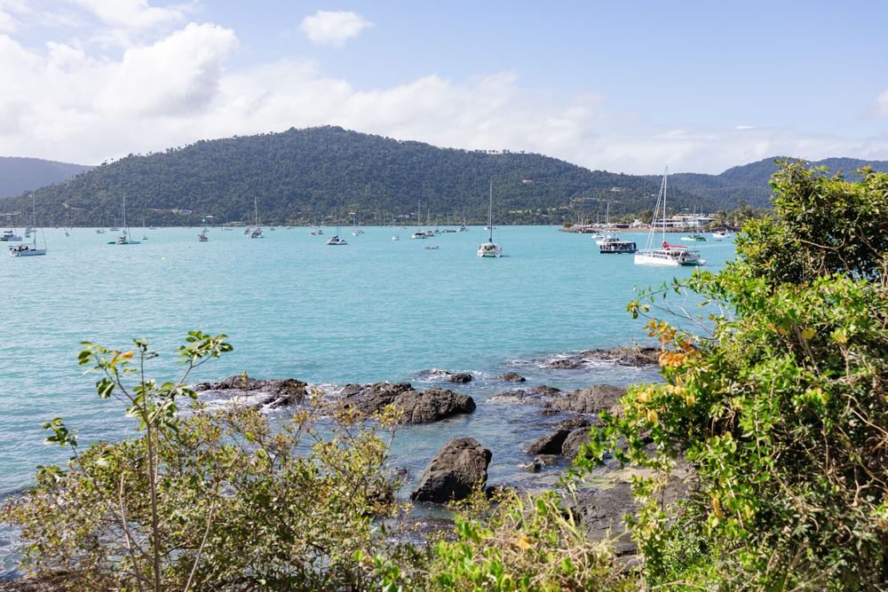 The Best Wedding Venues In The Whitsundays! - Sylvia Dalberg ...