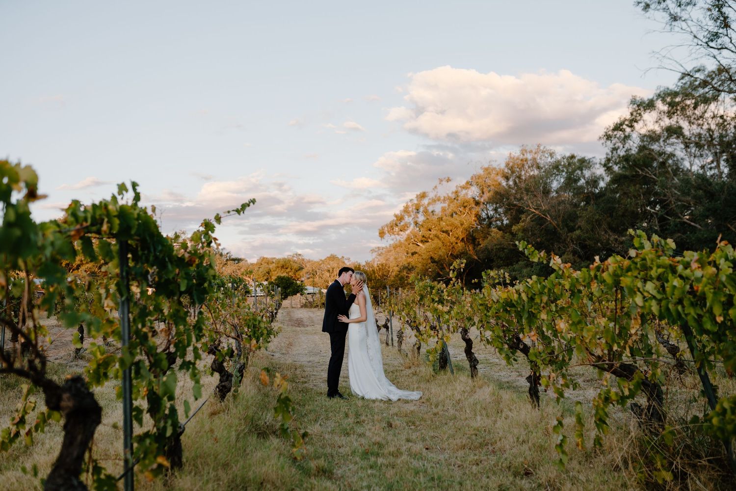 Weddings - Calvin Lim Photography