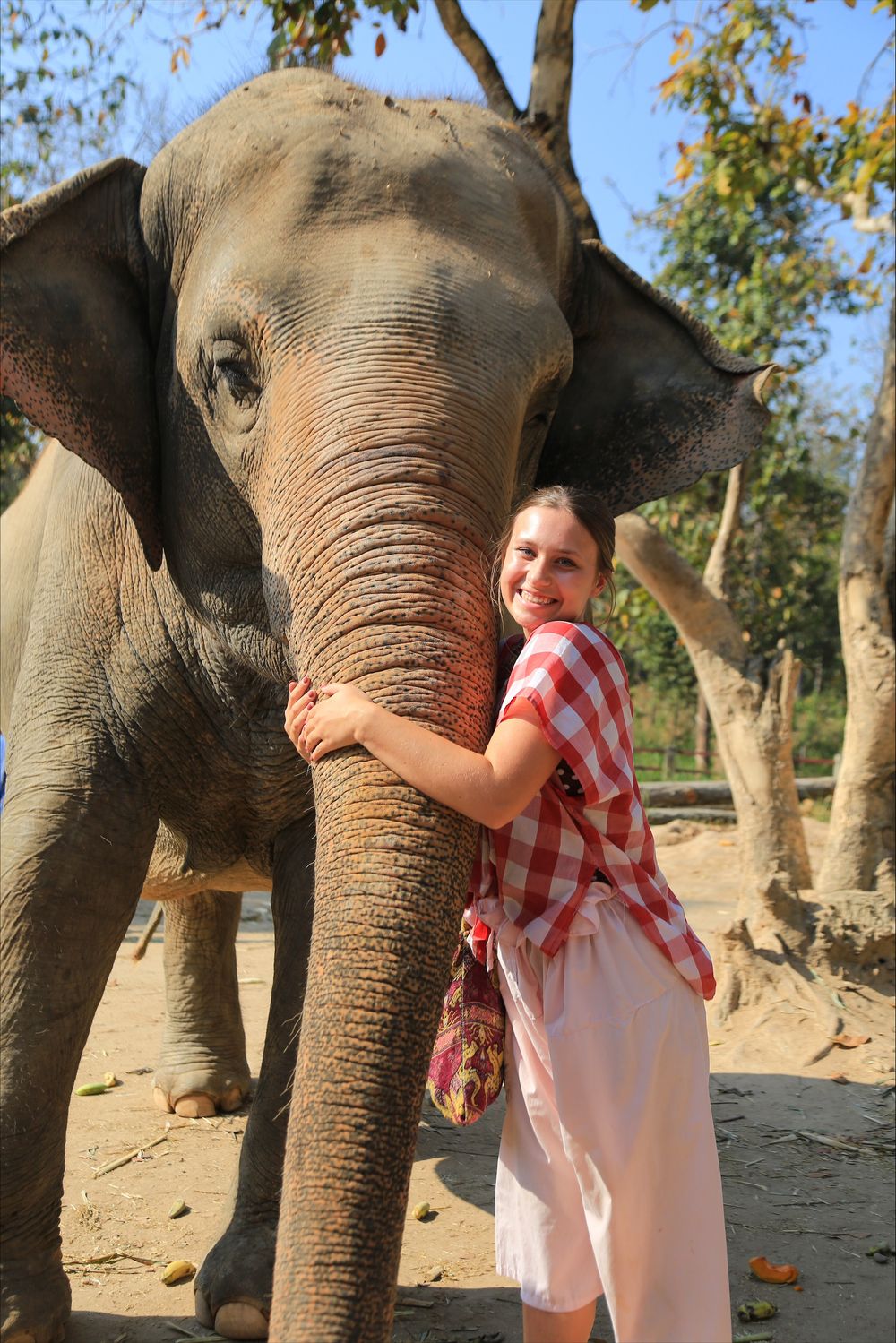 About - Noha Photography