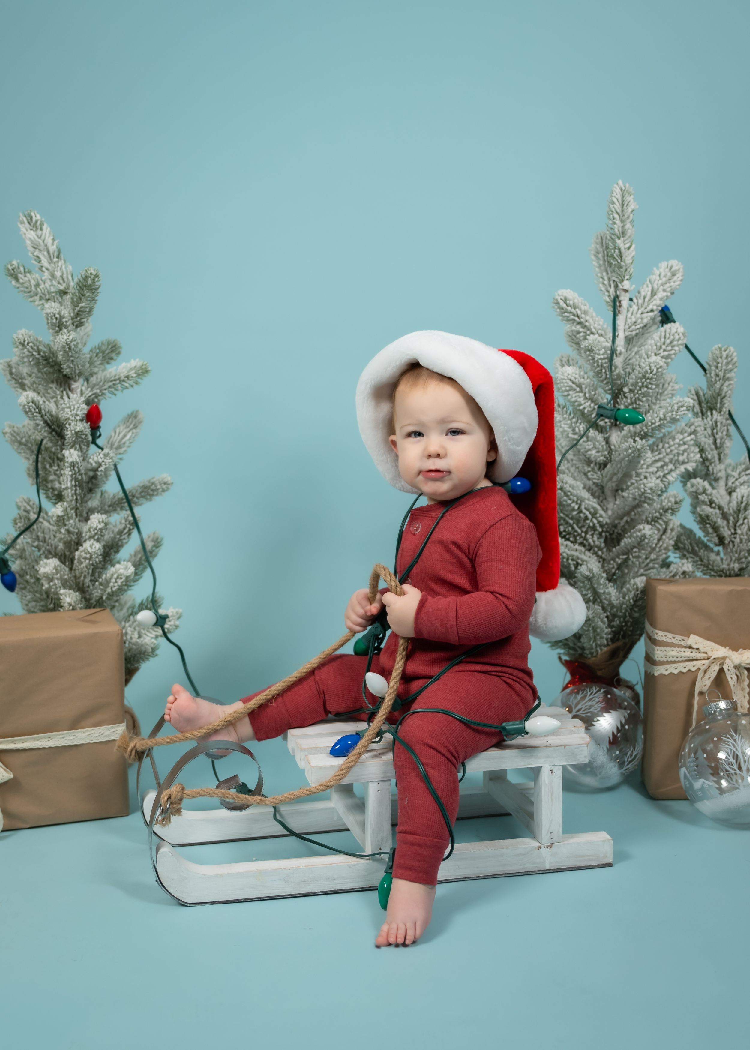 2025 Countdown to Christmas | Weber Photography | Greendale, WI - Weber ...