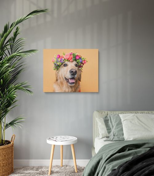 Ice Cream Pet Photo Day Event Info & Booking - Tonya Perme Photography