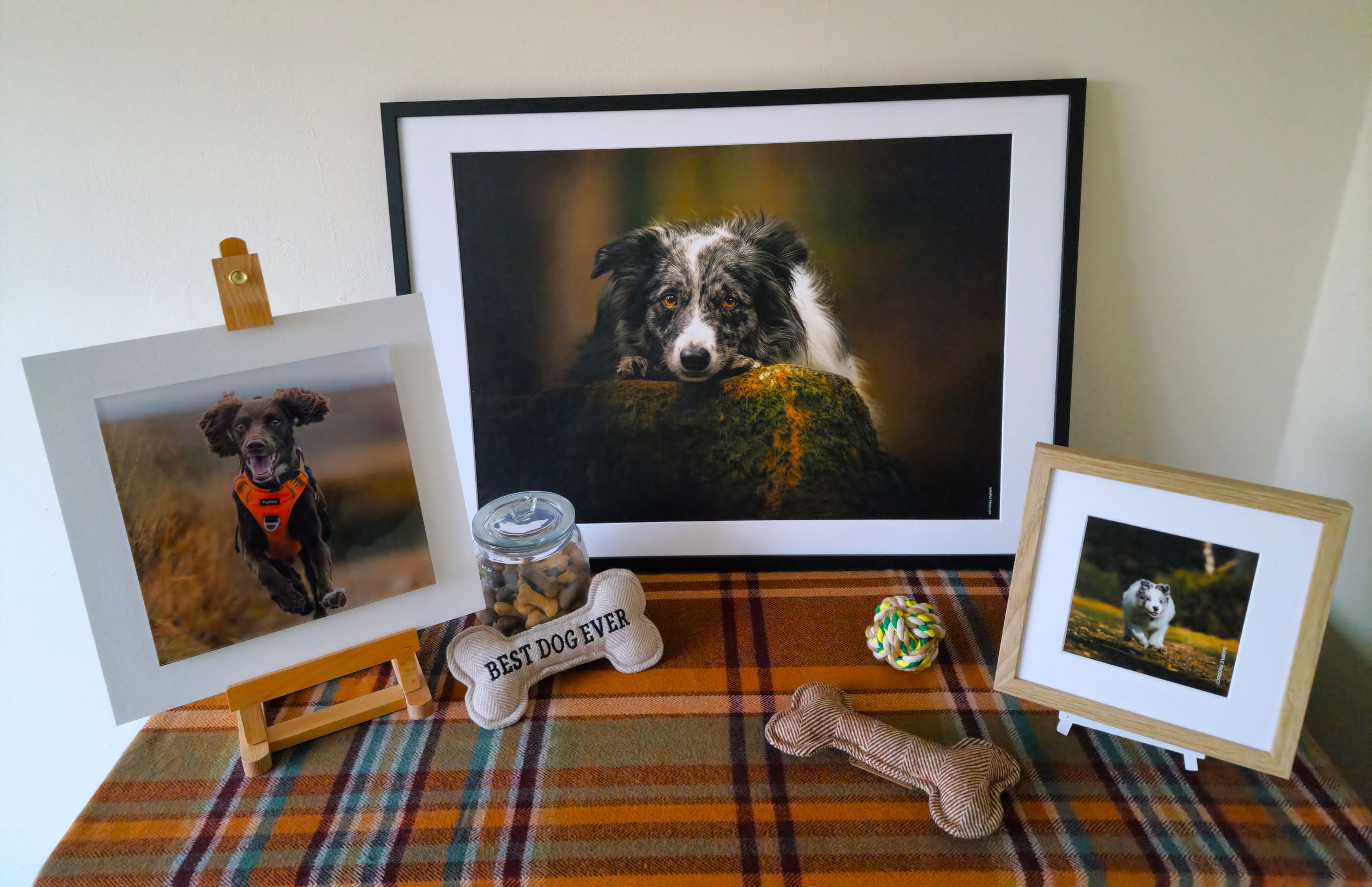 Copy - Andy Pull Photography