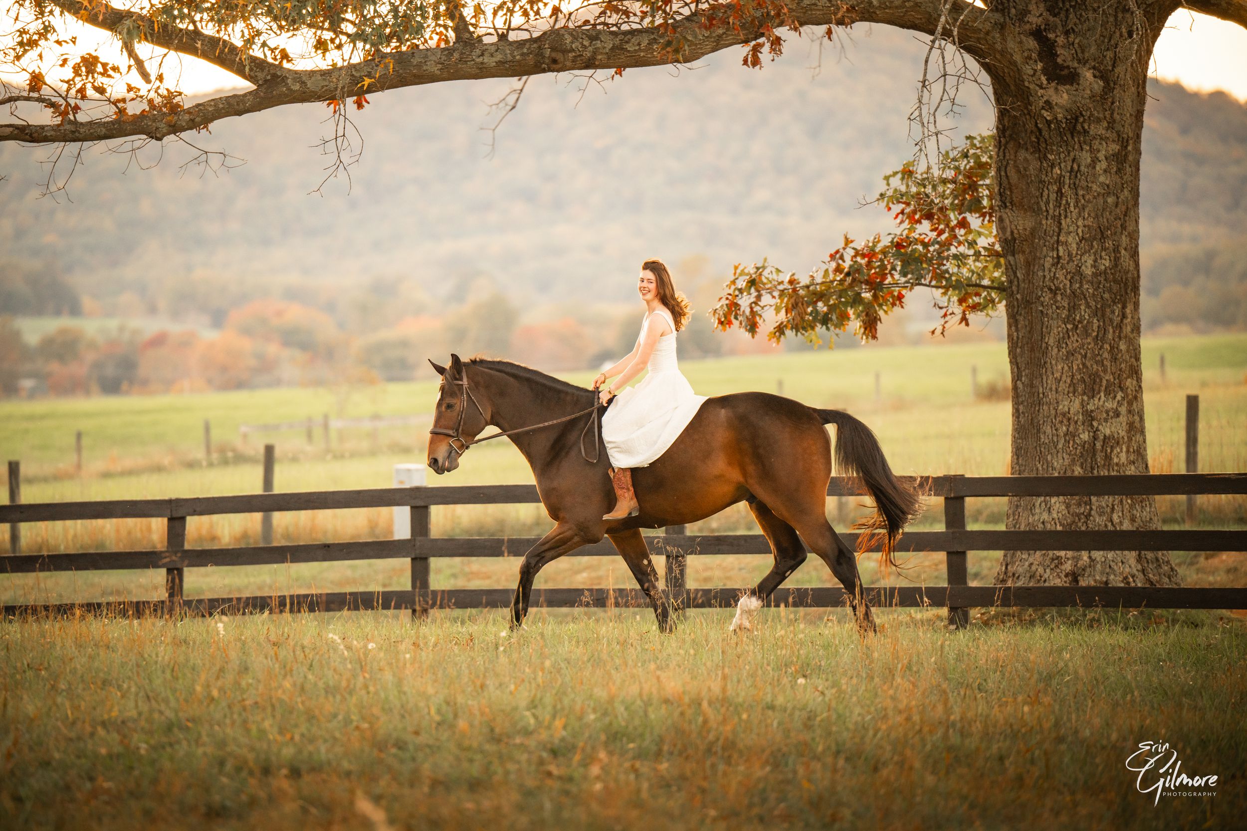 Horse + Rider - Erin Gilmore Photography