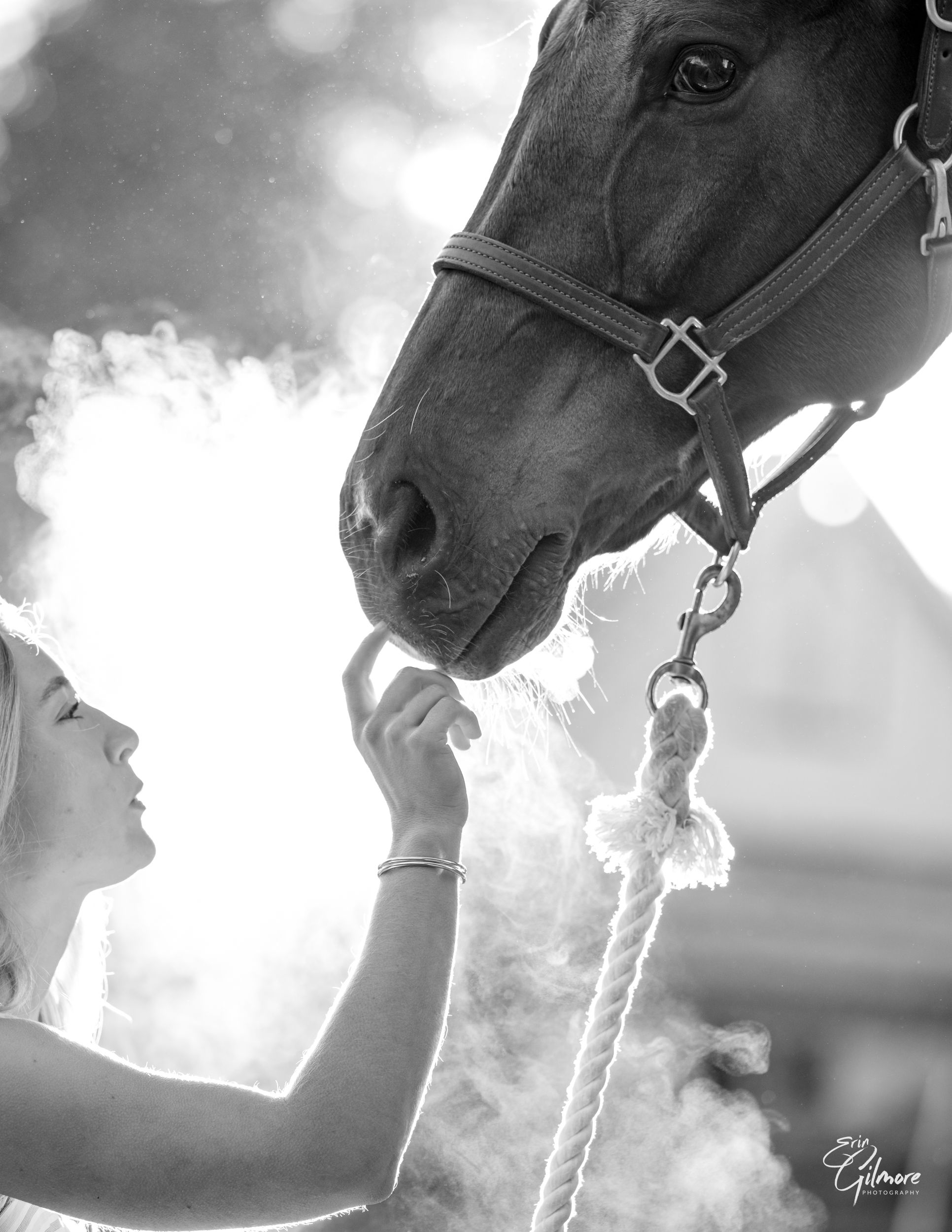 Horse + Rider - Erin Gilmore Photography