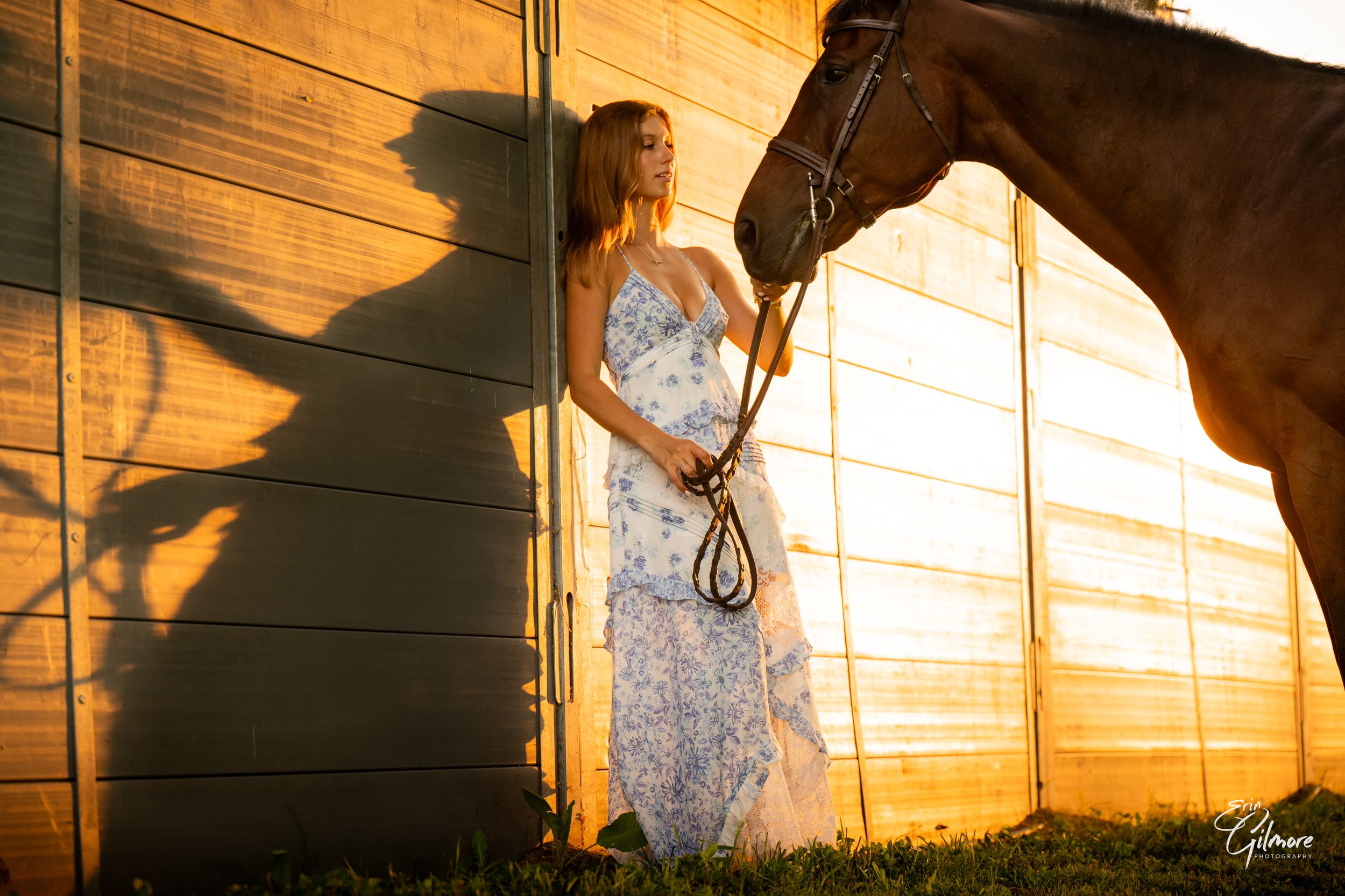 Horse + Rider - Erin Gilmore Photography