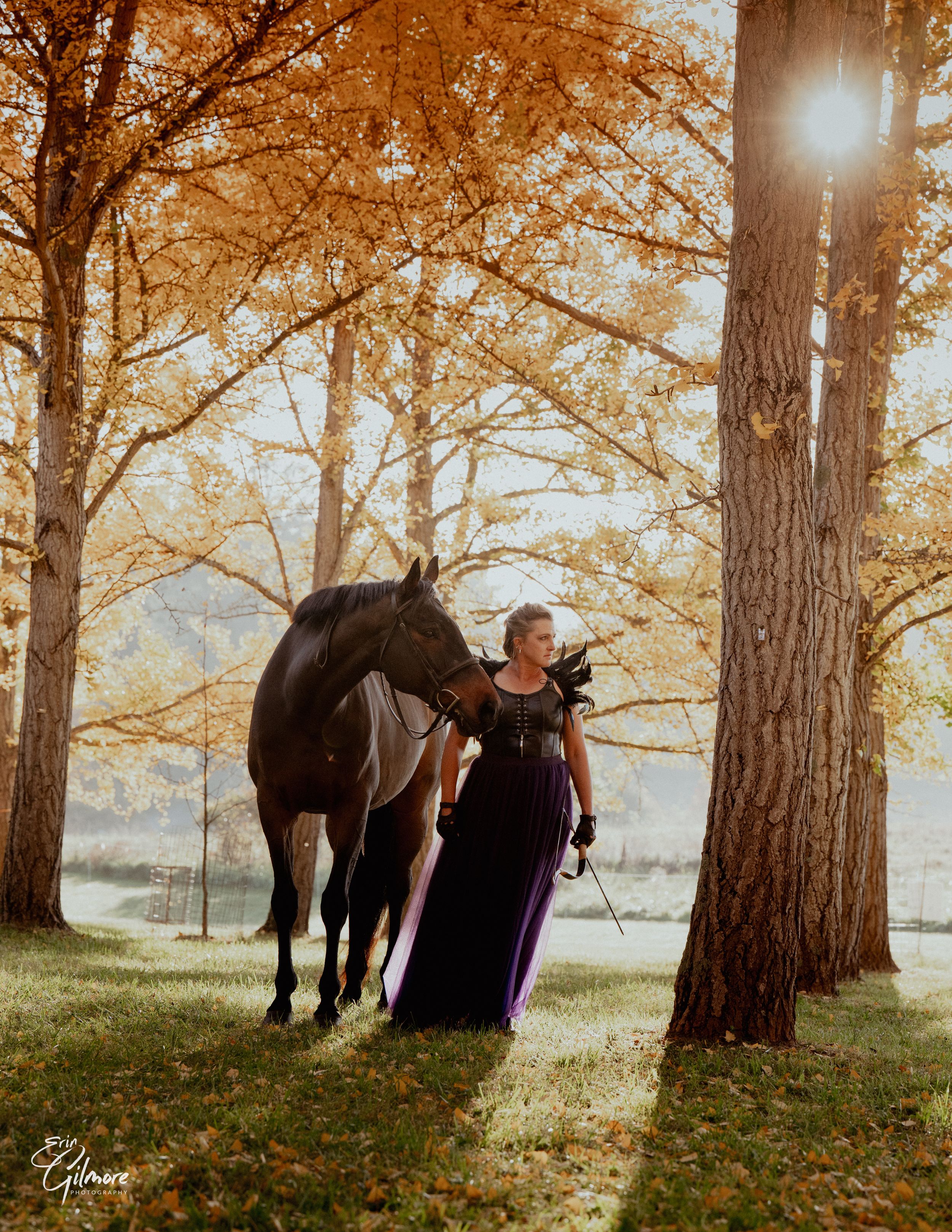 Horse + Rider - Erin Gilmore Photography