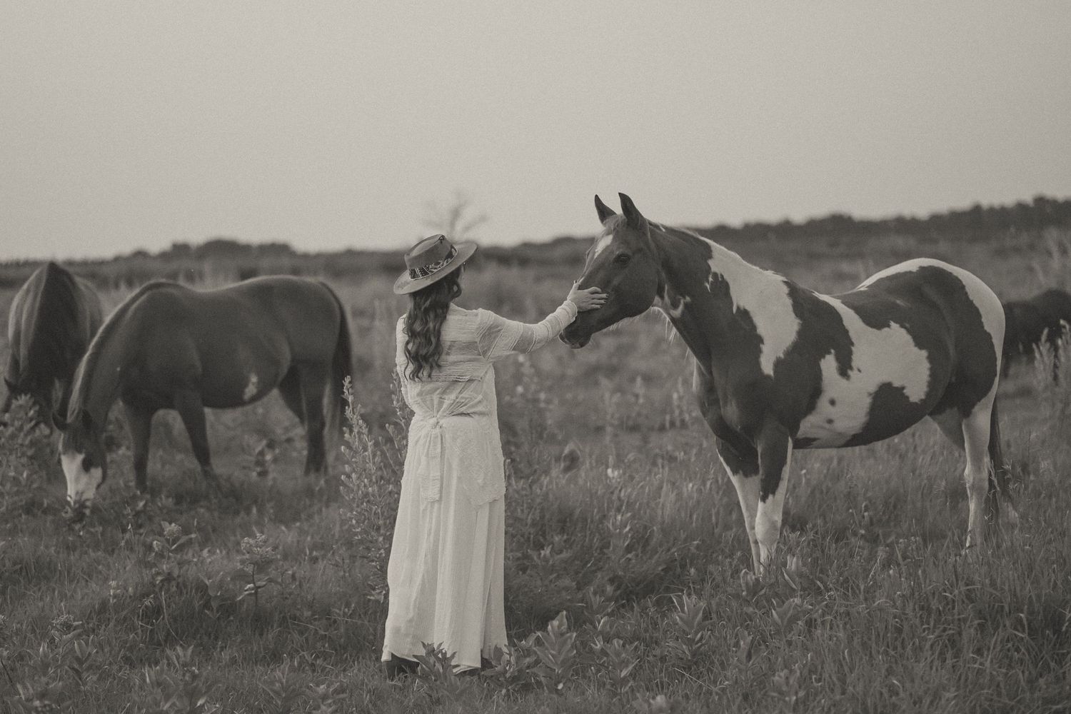 Investment - B.A.Photography