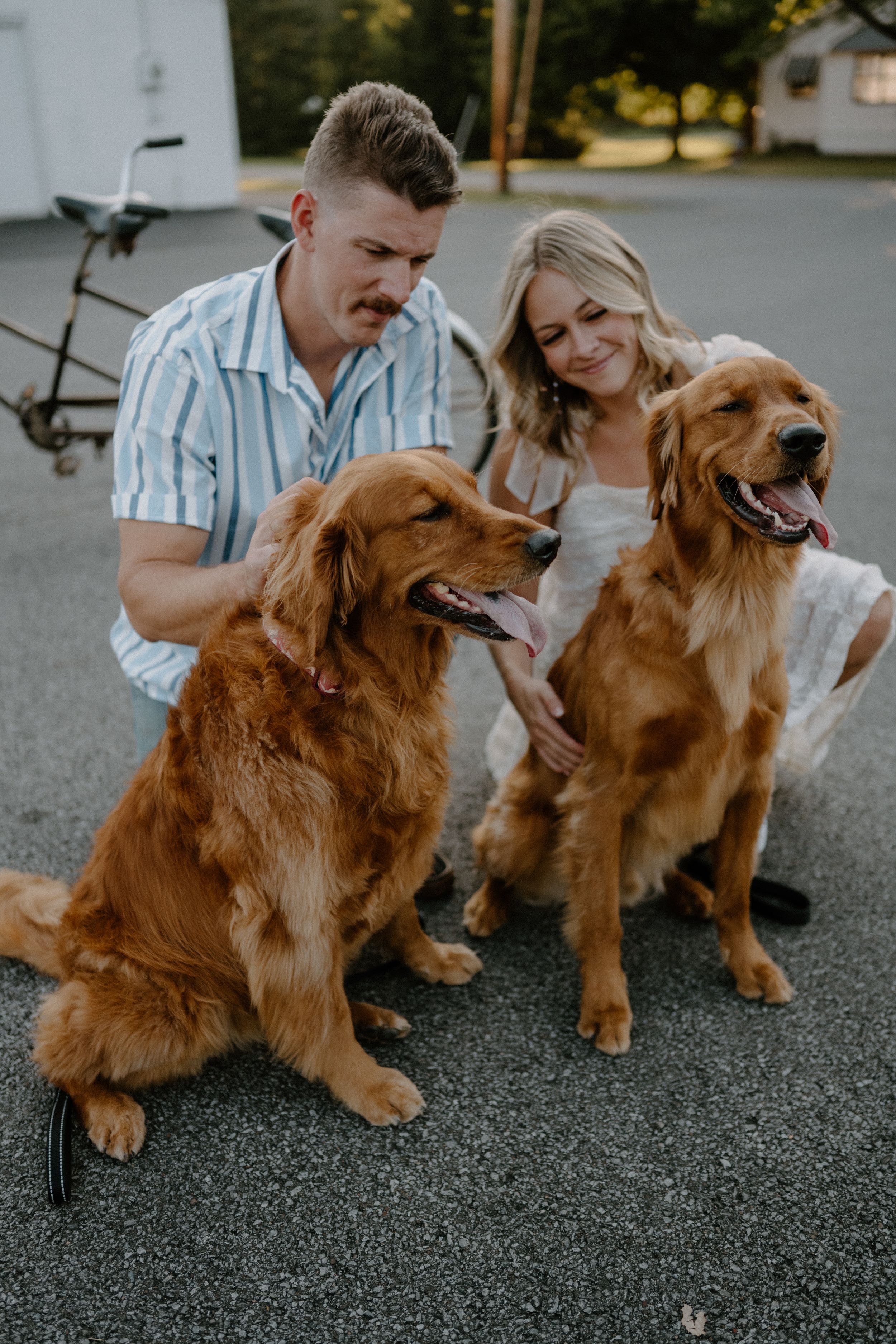 Portrait Packages - Aileen Elizabeth Photography