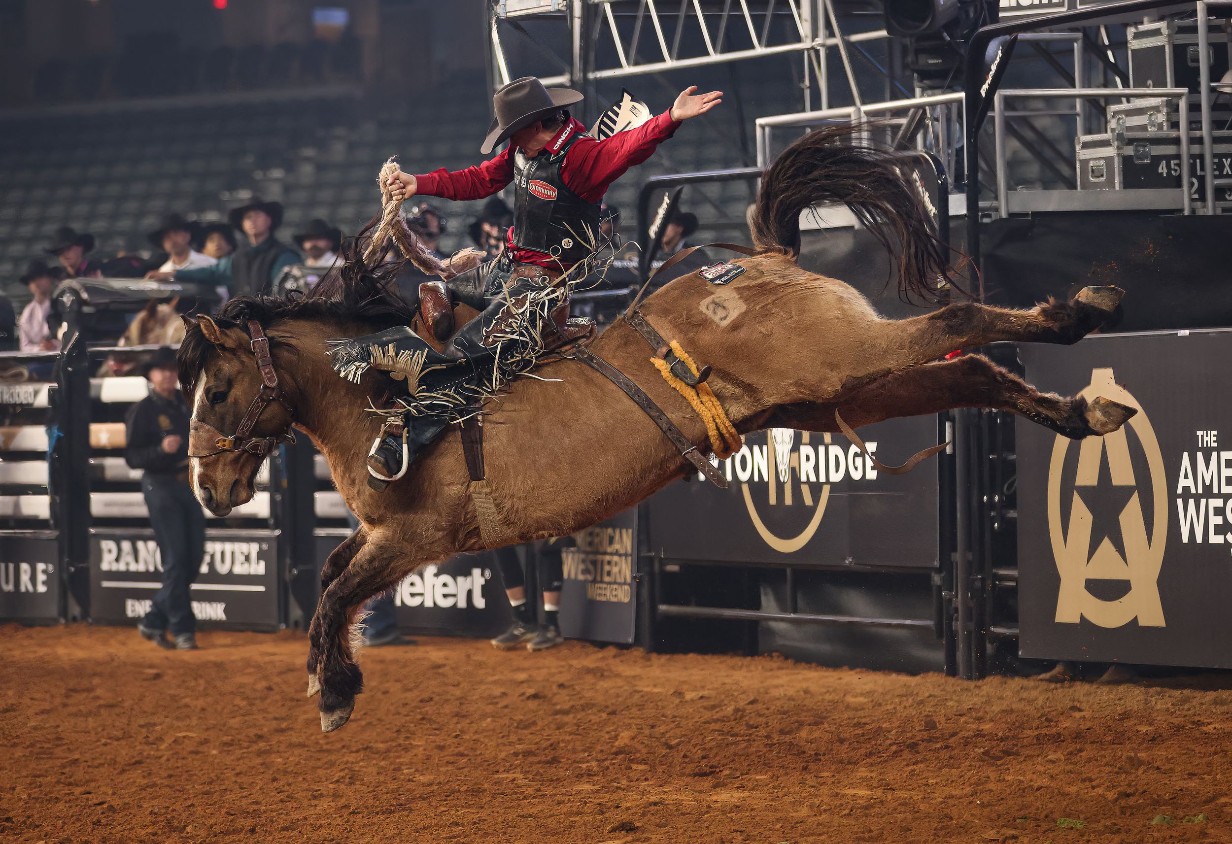 Wild Rodeo Photography