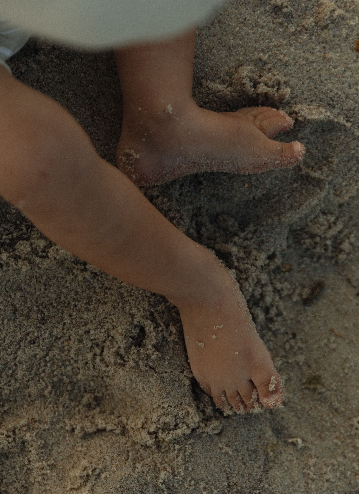 When the Beach Feels Like Home | Fire Island, New York - Shannen Fusco ...