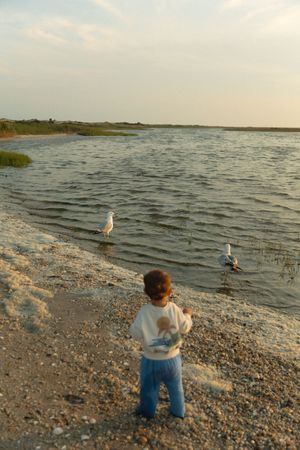 When the Beach Feels Like Home | Fire Island, New York - Shannen Fusco ...