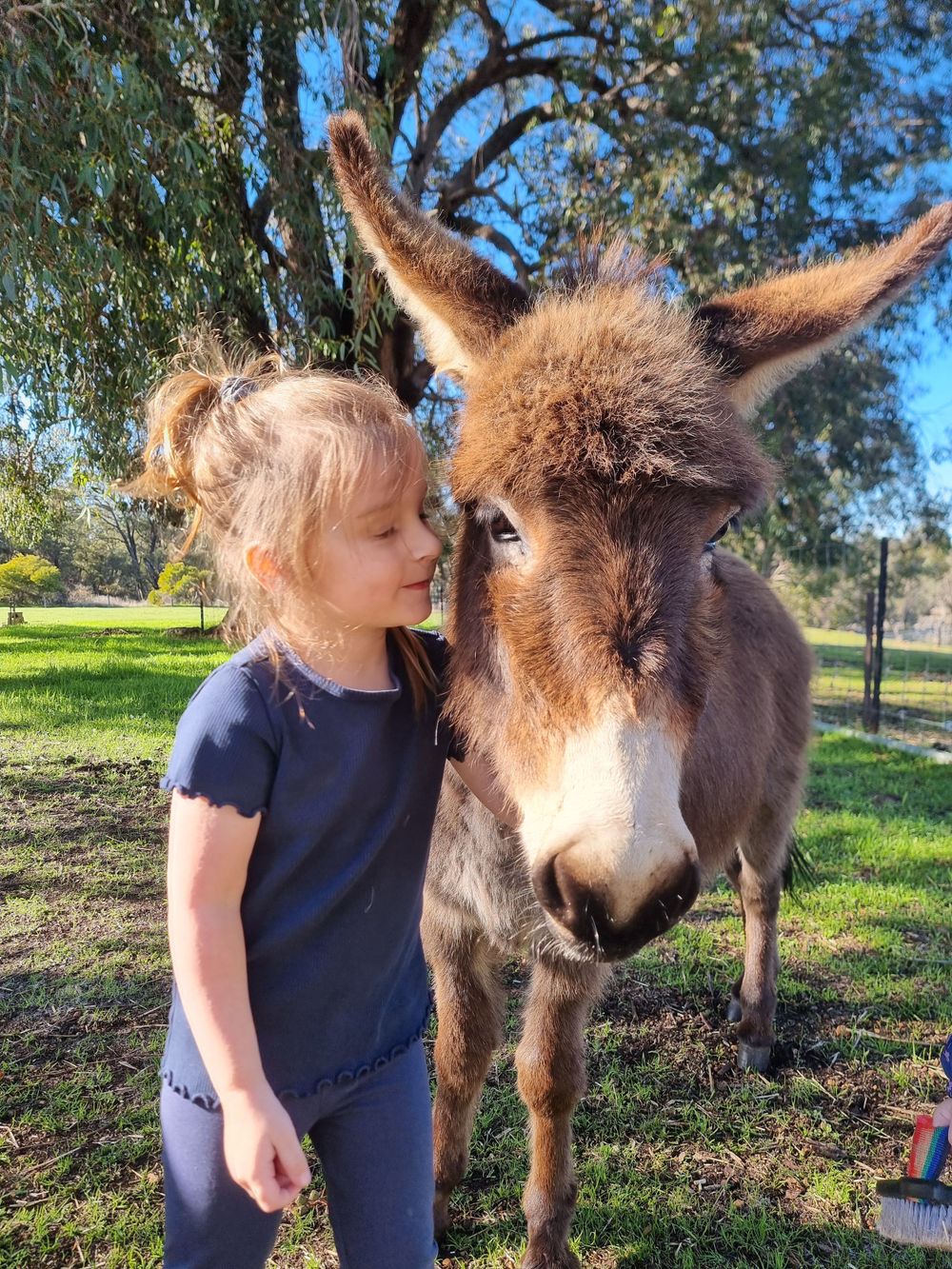 Private Farm Tour - Treasured Memories Photography