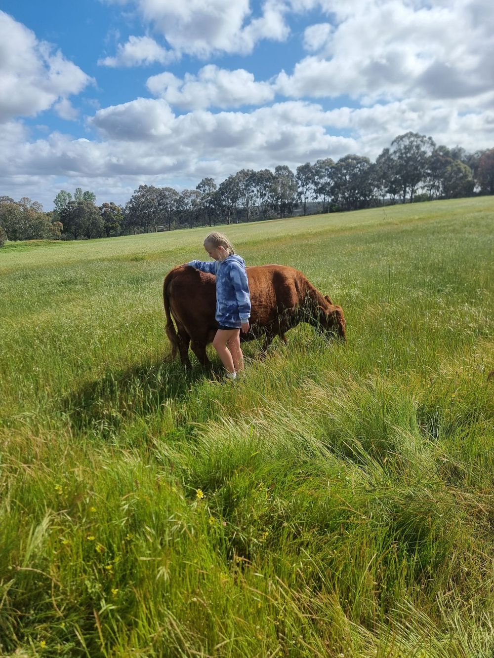 Private Farm Tour - Treasured Memories Photography