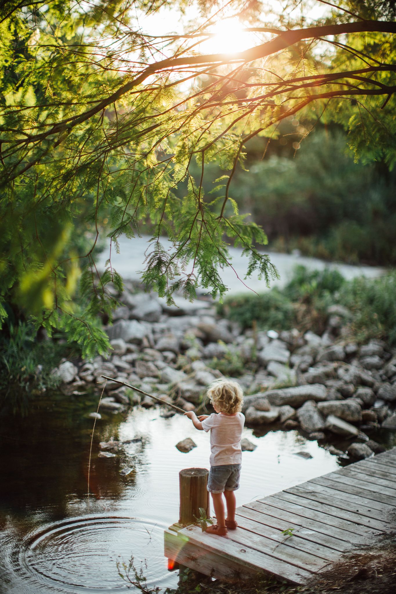 Petal & Vine Photography