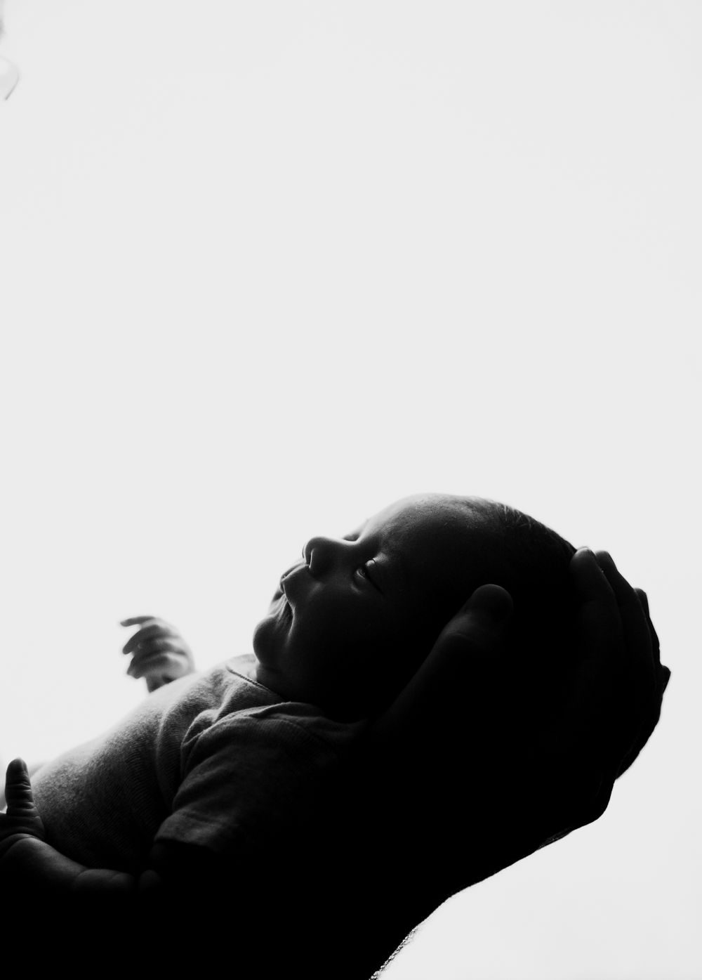 Pau Patterson Photography