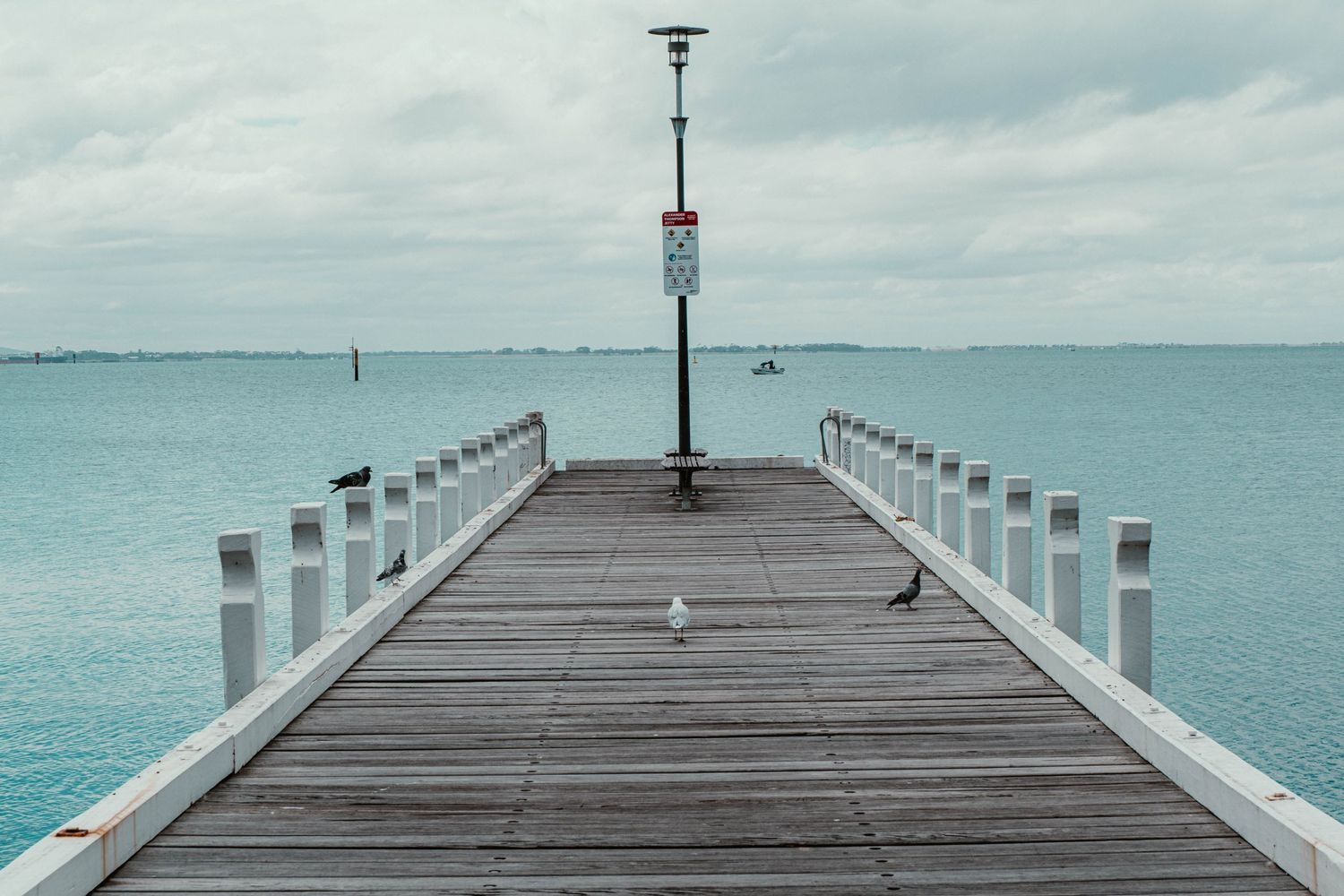 Koss Vizz Photography