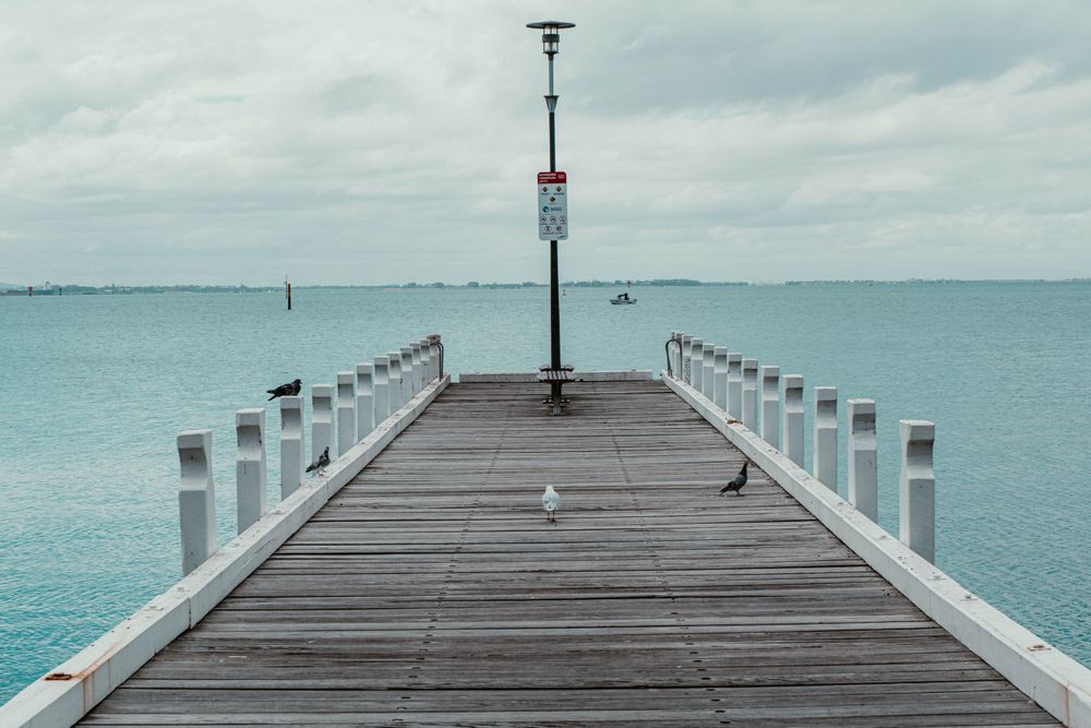 Koss Vizz Photography