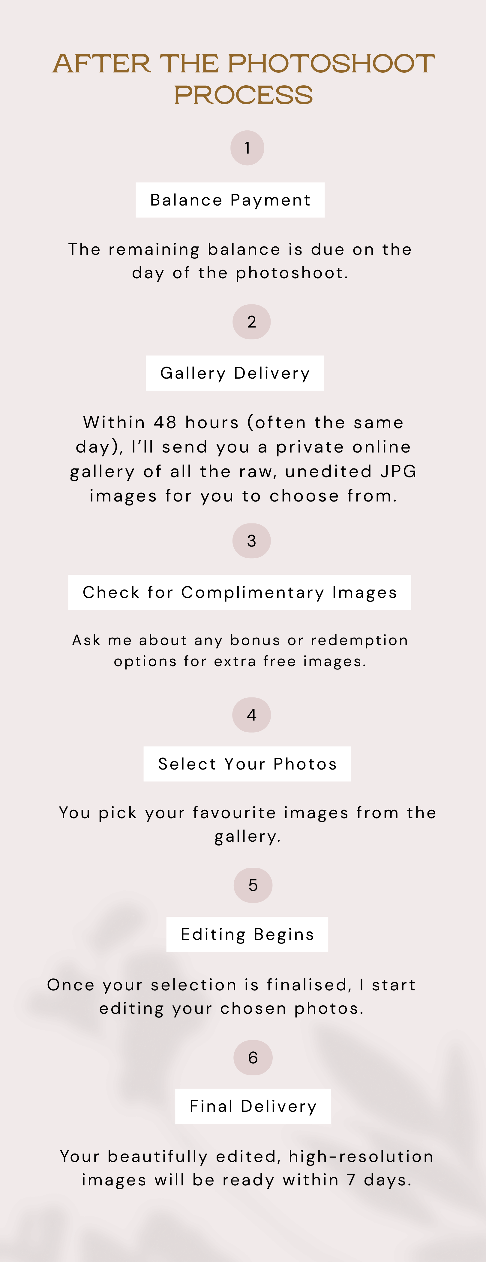 How to Book Newborn Photography Adelaide | Lin Photography - Pre ...