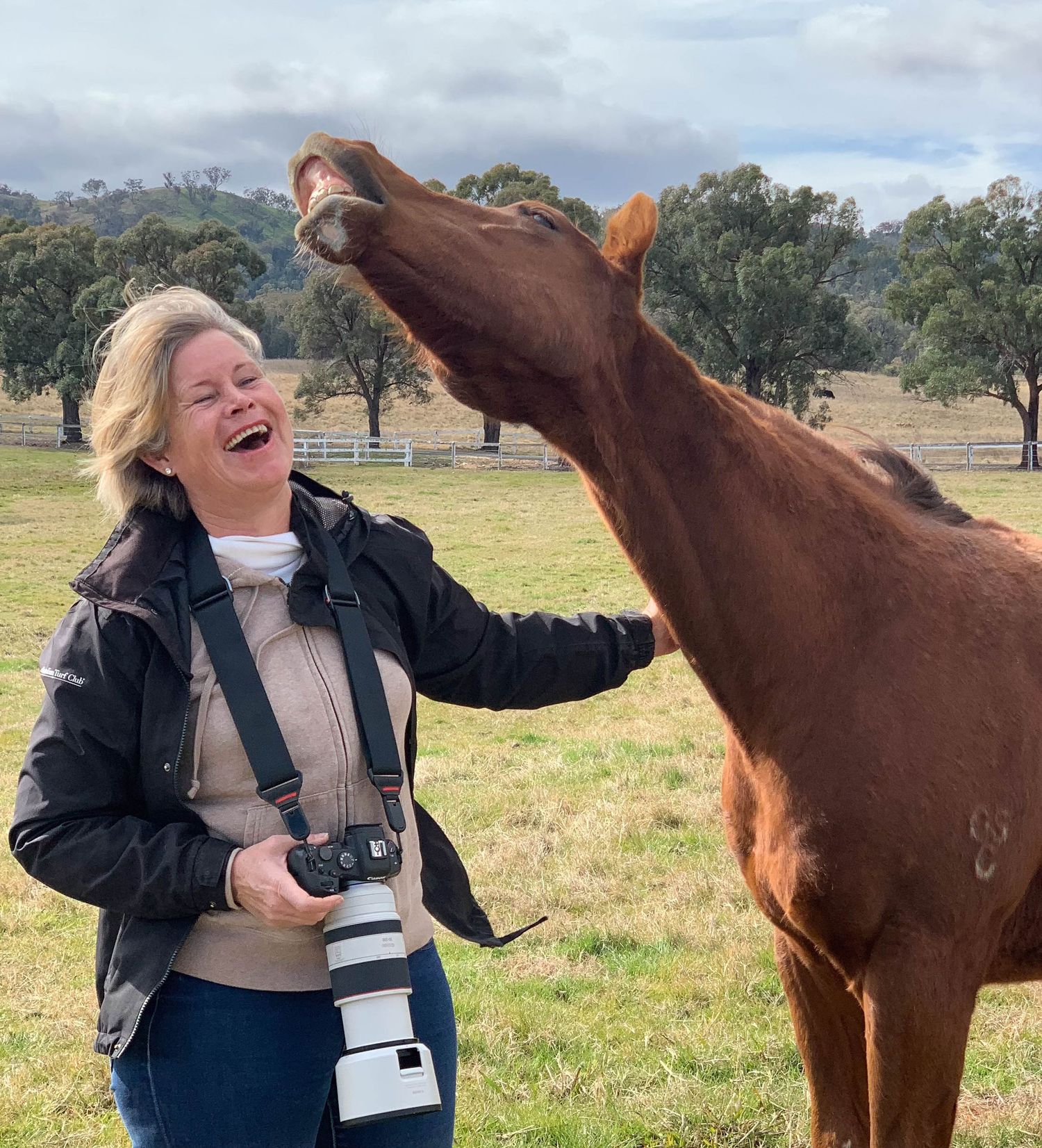 About - Need For Steed