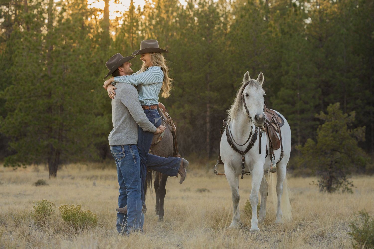 Equine Portaits - Lindsey Isom Photography