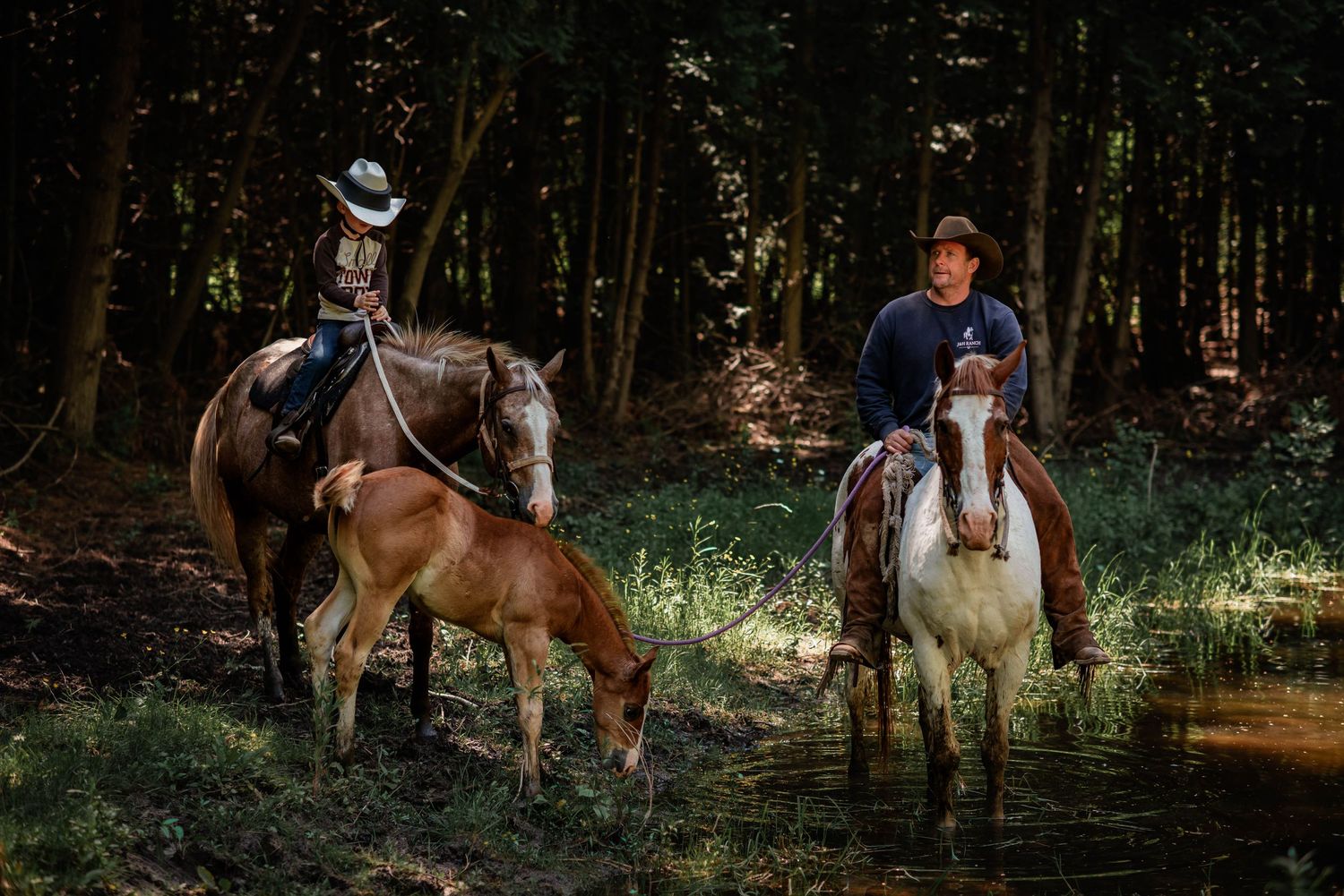 Clients Portal - Melanie Hess Photography in Brock Township Ontario
